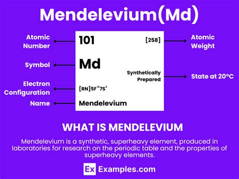 Mendelevium Md Definition Preparation Properties Uses Compounds