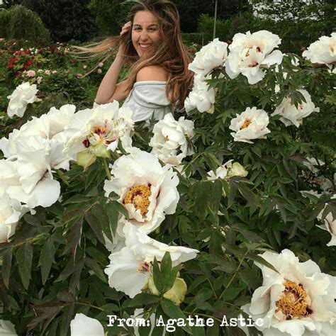 Agathe Astic The Peony Society