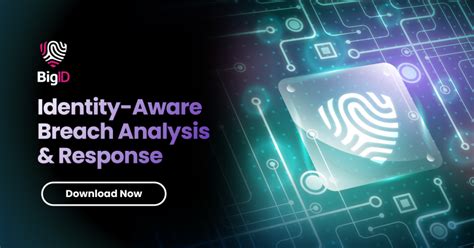 The Principle Of Least Privilege Access Maximizing Data Security BigID