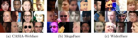 Figure 1 From Generalizing Face Representation With Unlabeled Data