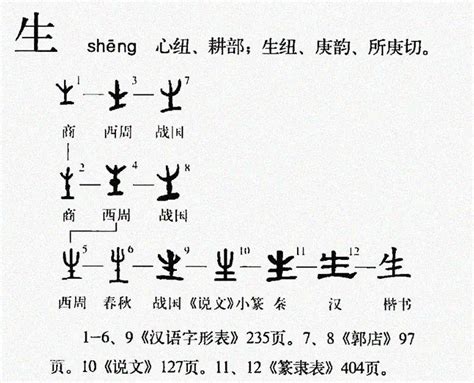 古代社祭：树木崇拜与森林家园 知乎