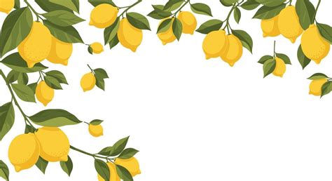 Lemon Border Vector Art Icons And Graphics For Free Download