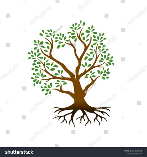 Vector Illustration Tree Roots Logo Concept Stock Vector Royalty Free Shutterstock