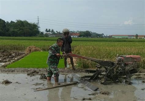 Gambar Pembajak Sawah Modern 46 Koleksi Gambar