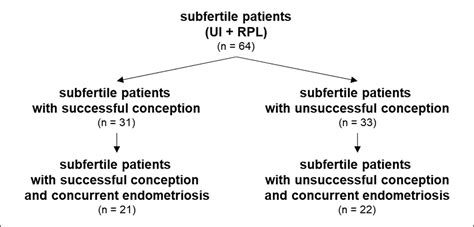 Altered Eutopic Endometrial T Regulatory And T Helper 17 Lymphocyte