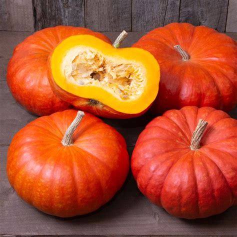 Types Of Orange Squash Types Of Winter Squash Learn About Growing