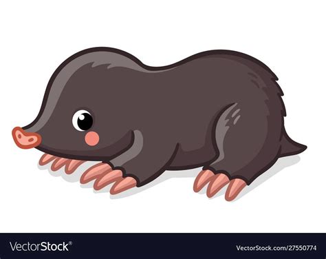 Mole Drawing