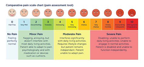 Printable Assessment Form For Palliative Printable Forms Free Online