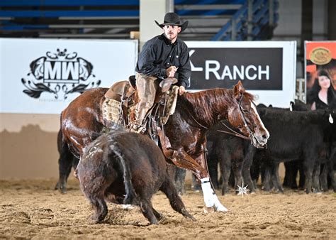 Billings Barrel Racing Series Bbrs 5th Place Classic Equine Splint