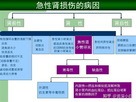 肾损伤会导致哪些并发症？ 知乎