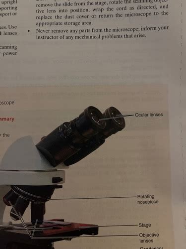 Microscope Flashcards Quizlet