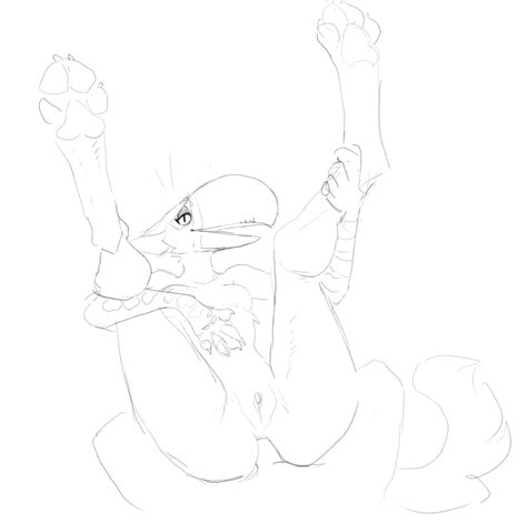 Rule 34 Anal Anal Sex Anthro Araçari Avian Beak Bird Black And White Breasts Duo Faceless Male