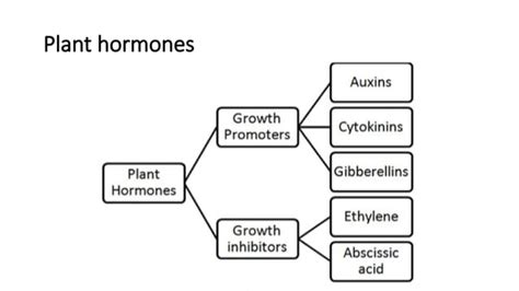 Biochemistry Hormone Classification Byneha Yadav Ppt