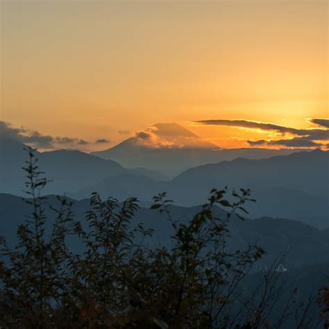 Picture Of A Decomposed Leaf Free Image For Blogs