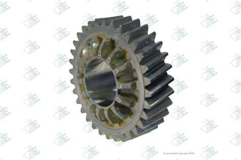 Complete Gear 30 T Suitable To Man 81356100049 Euroricambi Group