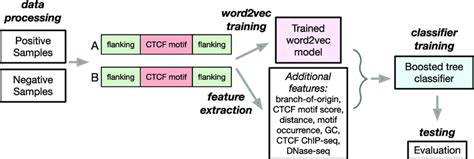 overview of the ctcf mp algorithm download scientific diagram