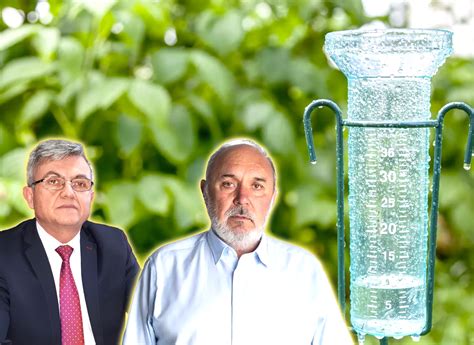 Patru Zile De Ploi Mană Cerească Pentru Agricultura Județului Vaslui