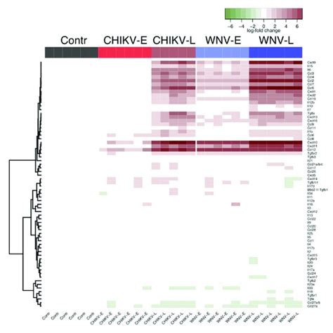 Heatmap To Show The Relative Enrichment Of Reactome Immune Gene Sets