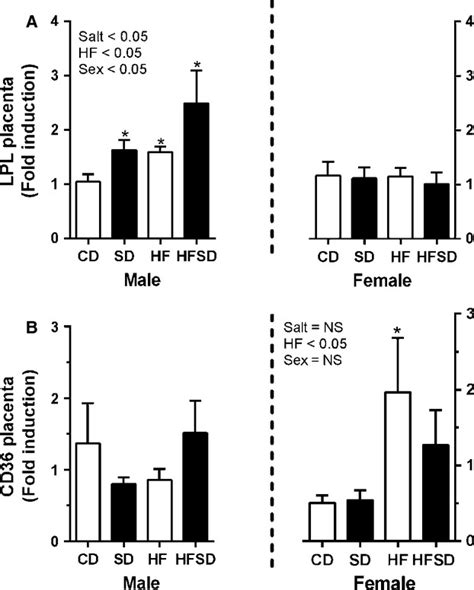 Maternal High Fat Andor Salt Consumption Induces Sex Specific