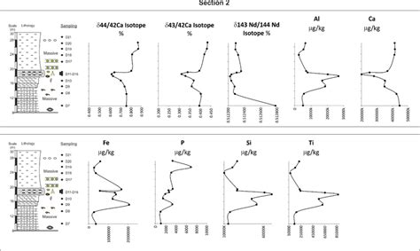 geochemical data plot against its stratigraphic positions of section 2