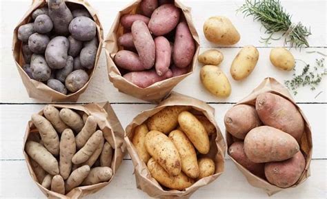 Health Benefits Of Consuming Russet Potatoes A Comprehensive Guide