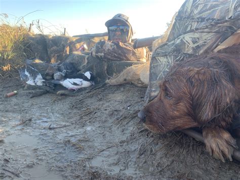 Pit Blind Concealment Rwaterfowl