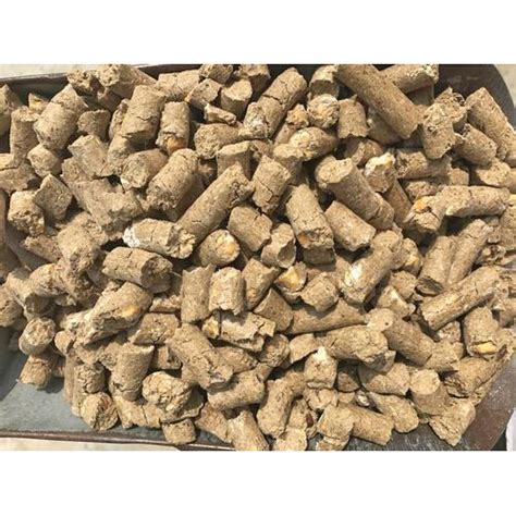 Asha Gold Corn Pellets Feed Packaging Type Pp Bags At Rs 1500 Quintal In Alwar