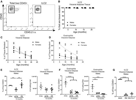 Il 33 Causes Thermogenic Failure In Aging By Expanding Dysfunctional