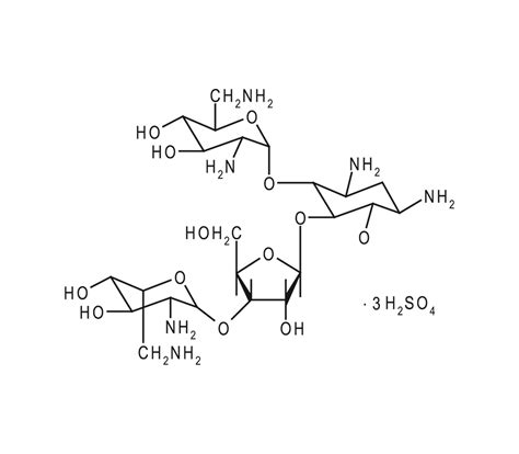 Neomycin Sulfate Enzo