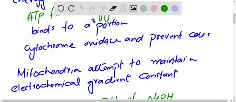 The Graph Shows The Ph Difference Across The Inner Mitochondrial