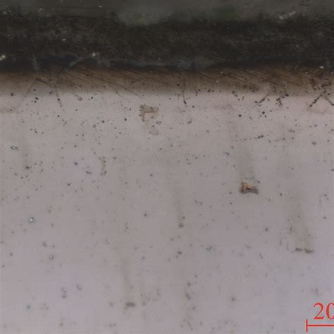 Cross Section Of A Nitrided Sample Treatment Time 20 Min Nitriding Download Scientific