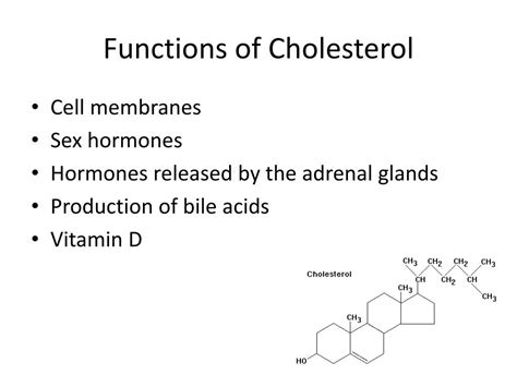 Ppt Cholesterol Powerpoint Presentation Free Download Id2827917