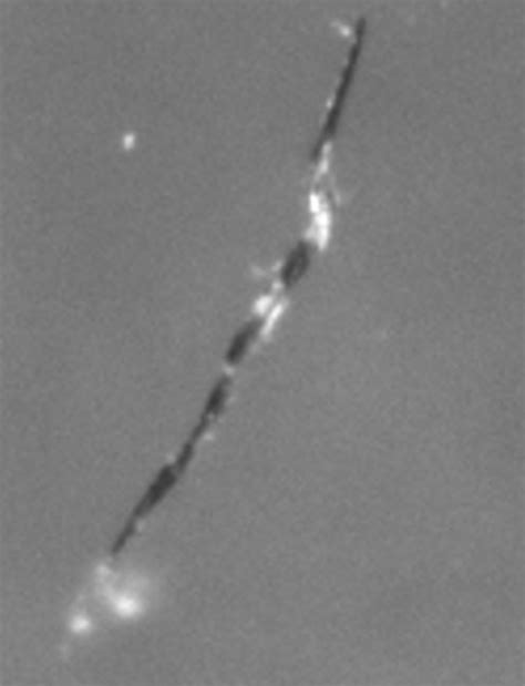 China Aoi1000 Optical Component Surface Defect Detector Supplier Manufacturer Factory Direct