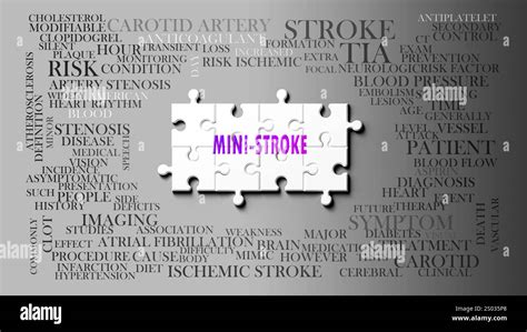 Mini Stroke As A Complex Subject Related To Important Topics Spreading Around As A Word Cloud