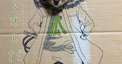 Funny Kitty Cosplay Album On Imgur