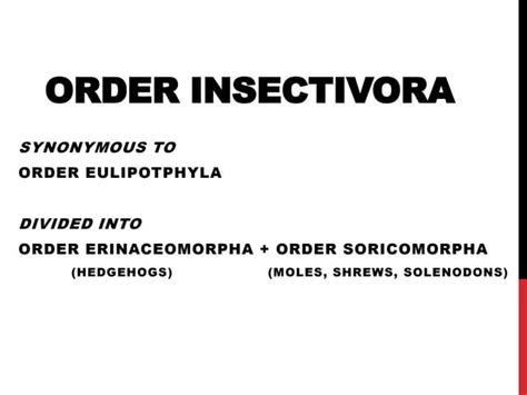 Order Insectivora Pptx