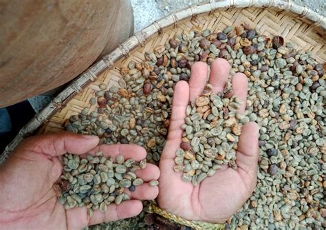 Bean Buzz Is Anaerobic Coffee The Next Big Trend In Coffee Symrise