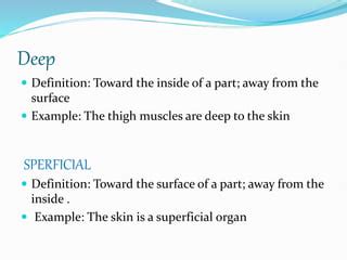 Anatomy And Physiology Unit 1 Introduction Newpptx