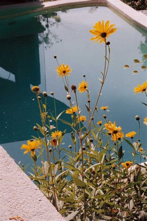 Frankie Clo Faustine Martin Frankie Martin Photography