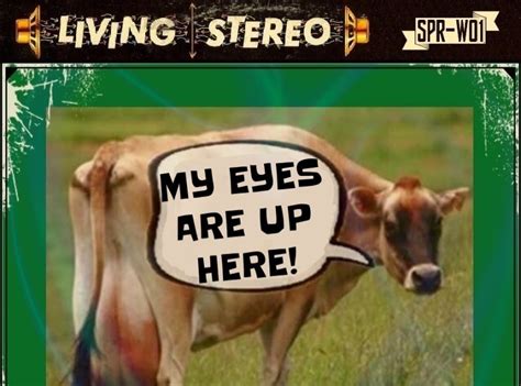 Groovy Library Weird Oowee Weird