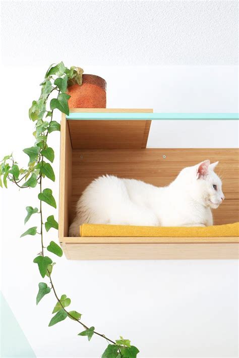 Ikea Cat Wall Shelves Diy At Archie Kenny Blog
