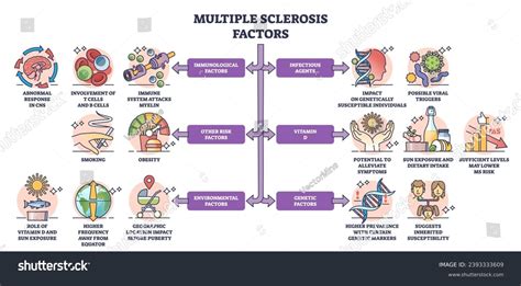 Multiple Sclerosis Factors Ms Disease Risks Stock Vector Royalty Free