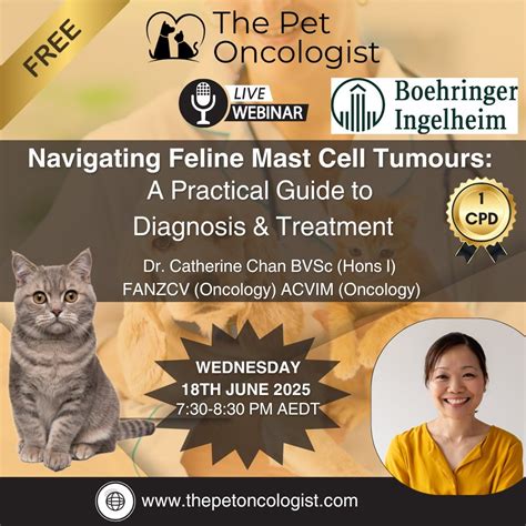 Veterinary Body Surface Area Bsa Calculator For Chemotherapy Dosing In Multiple Species M²