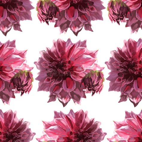Hermoso Fondo Con Delicada Acuarela Dibujada A Mano Pintura De Dalias Rojo Y Rosa Dibujo De
