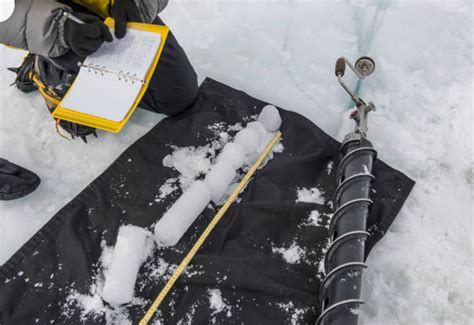 Visual Survey Isabel De Maurissens