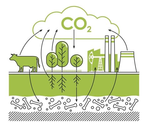 Cycle Methane Over 49 Royalty Free Licensable Stock Vectors And Vector
