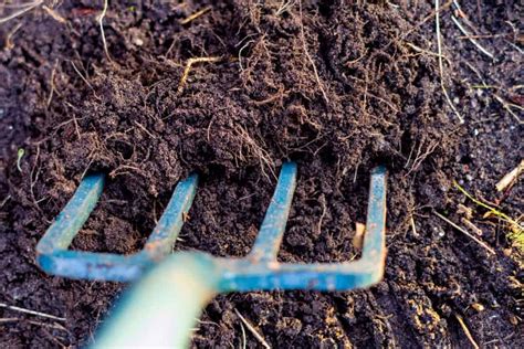 How To Use A Spading Fork Step By Step Guide