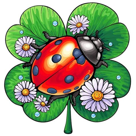 Pin By Julia On Dibujitos De Color Lady Bug Drawing Bugs Drawing
