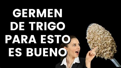 Germen De Trigo Propiedades Nutricionales 🧡 Todos Los Beneficios Del