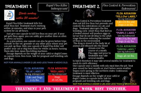 Flea Assassin Flea Treatments